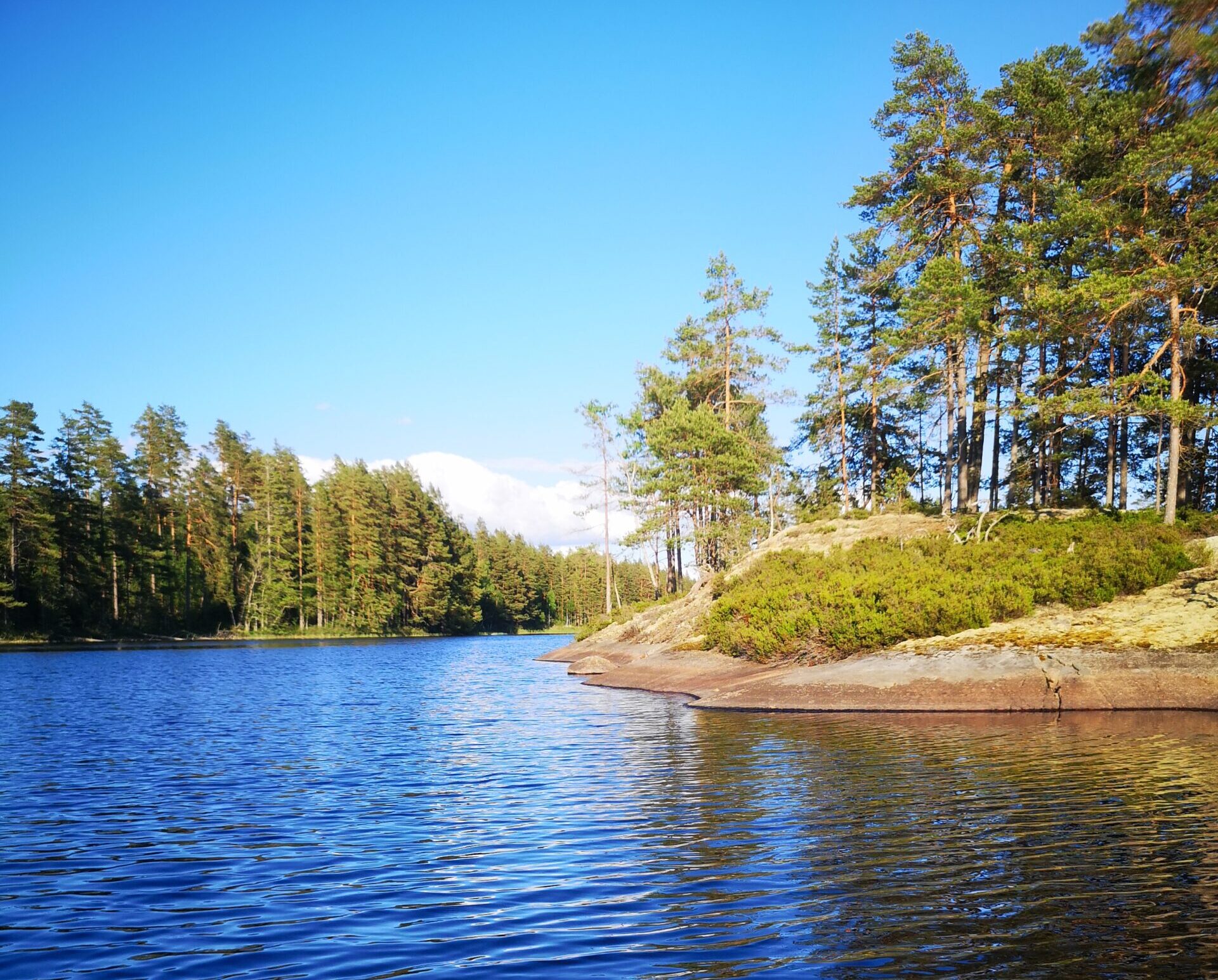 Canoeing in Tiveden - EXPERITUR